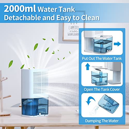 68oz 7900 Cubic Feet（810 Sq.ft）Dehumidifiers for Home Bathroom Room Basements,Quiet Dehumidifier With Drain Hose & Auto Shut Off, Portable Small Dehumidifiers for Bedroom Closet RV