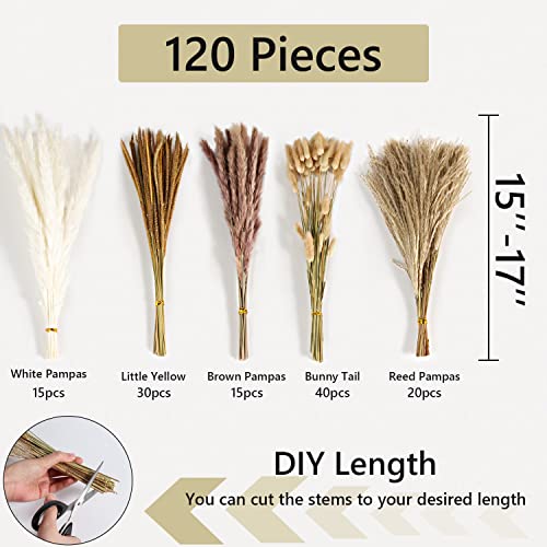 Dried Pampas Grass Decor, 120Pcs Boho Home Wedding Party Decor Dried Flowers Arrangements White & Natural Pampas Grass, Reed, Bunny Tails