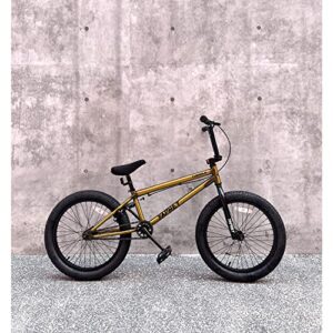 cubsala 20 Inch Kids Bike Freestyle BMX Bicycles for 6 7 8 9 10 11 12 13 14 Years Old Boys and Beginner Riders with pegs, Gold