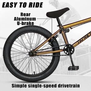 cubsala 20 Inch Kids Bike Freestyle BMX Bicycles for 6 7 8 9 10 11 12 13 14 Years Old Boys and Beginner Riders with pegs, Gold