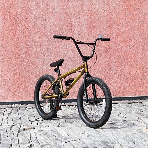 cubsala 20 Inch Kids Bike Freestyle BMX Bicycles for 6 7 8 9 10 11 12 13 14 Years Old Boys and Beginner Riders with pegs, Gold