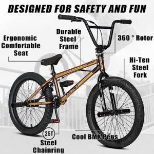 cubsala 20 Inch Kids Bike Freestyle BMX Bicycles for 6 7 8 9 10 11 12 13 14 Years Old Boys and Beginner Riders with pegs, Gold