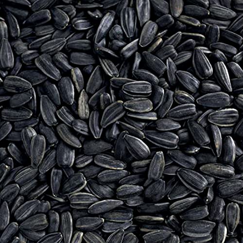 Happy Wings Black Oil Sunflower Bird Food, 5 Pounds | No Grow Seed | Bird Seed for Wild Birds