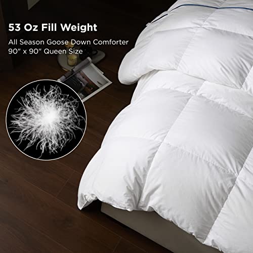 Bedsure Goose Down Comforter Queen Size - Feather Down Comforter Queen for All Seasons, Extra Puffy Queen Duvet Insert, 8 Corner Tabs, Machine Washable (90x90 Inches, 53 Oz)