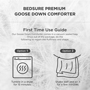 Bedsure Goose Down Comforter Queen Size - Feather Down Comforter Queen for All Seasons, Extra Puffy Queen Duvet Insert, 8 Corner Tabs, Machine Washable (90x90 Inches, 53 Oz)