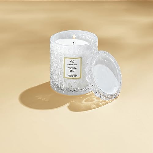 Chloefu LAN Vanilla Bean Highly Fragranced Candle Gifts for Women, Natural Wax Candle for Home Scented, Up to 55 Hour Burn time - 8.1 Ounce Premium Soy Wax