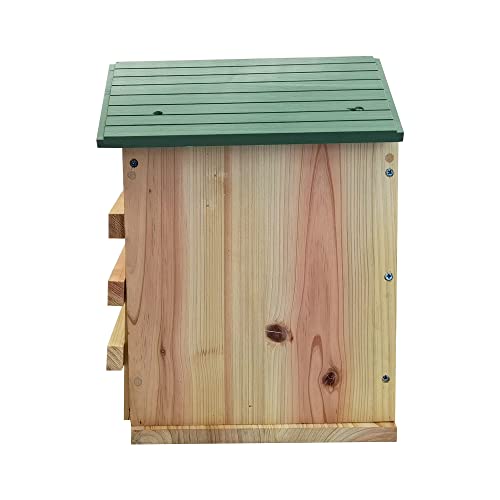 Prolee Screech Owl House Hand Made 14 x 10 Inch Cedar Wood Owl Box with Mounting Screws, Easy Assembly Required (Standard)