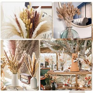 DomeStar 130PCS Pampas Grass Decor,Dried Pampas Grass Contains White and Natural Bunny Tail Grass Reed Boho Bouquet Decor for Wedding Party Home Table Vase Rustic Farmhouse Decor（18 inch）