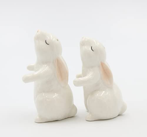 Cosmos Gifts 21011 Hugging Rabbits Salt and Pepper Shaker,White