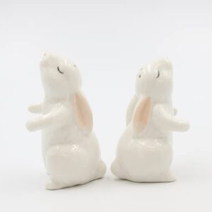 Cosmos Gifts 21011 Hugging Rabbits Salt and Pepper Shaker,White