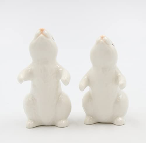 Cosmos Gifts 21011 Hugging Rabbits Salt and Pepper Shaker,White