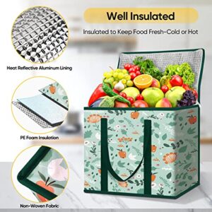 BALEINE 2Pk Insulated Reusable Grocery Bags, Collapsible Cooler Bag for Groceries, Heavy Duty Large Insulated Bag (16''x9''x13'', Spring Stroll)