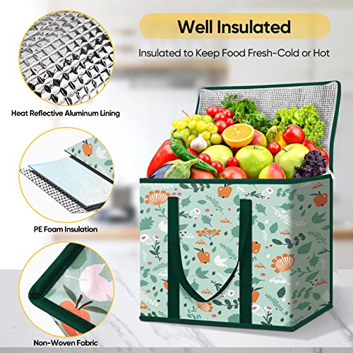 BALEINE 2Pk Insulated Reusable Grocery Bags, Collapsible Cooler Bag for Groceries, Heavy Duty Large Insulated Bag (16''x9''x13'', Spring Stroll)