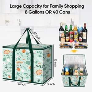 BALEINE 2Pk Insulated Reusable Grocery Bags, Collapsible Cooler Bag for Groceries, Heavy Duty Large Insulated Bag (16''x9''x13'', Spring Stroll)