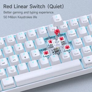 DIERYA DK61SE 60% Mechanical Gaming Keyboard, 61 Keys Anti-Ghosting, LED Backlight, Detachable USB-C, Ultra-Compact Mini Wired Keyboard with Red Linear Switch for Windows Laptop PC Gamer Typist