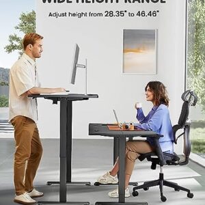 ErGear Height Adjustable Electric Standing Desk, 55 x 28 Inches Sit Stand up Desk, Memory Computer Home Office Desk (Black)