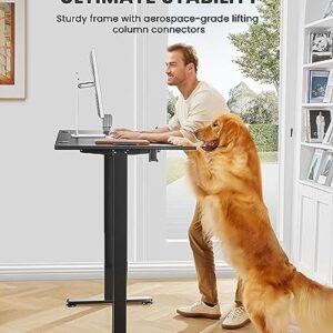 ErGear Height Adjustable Electric Standing Desk, 55 x 28 Inches Sit Stand up Desk, Memory Computer Home Office Desk (Black)