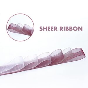 1 Inch Organza Ribbon 300 Yards, Sheer Chiffon Ribbon for Gift Wrapping Decoration, Transparent Tulle Ribbon for Birthday Presents, Cards, Wedding Invitations, Bows Crafts (6 Rolls* 50 Yards)