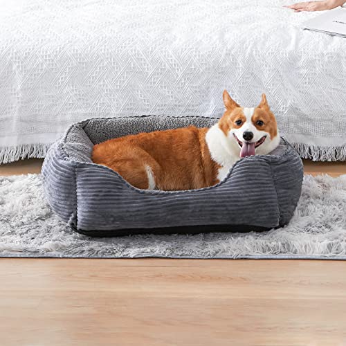 INVENHO Small Dog Beds, Rectangle Dog Beds for Large Medium Small Dogs, Durable Washable Dog Sofa Bed, Breathable Puppy Bed, Calming Orthopedic Dog Beds Cat Bed with Non-Slip Bottom (20''x19''x6'')