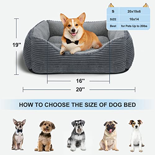 INVENHO Small Dog Beds, Rectangle Dog Beds for Large Medium Small Dogs, Durable Washable Dog Sofa Bed, Breathable Puppy Bed, Calming Orthopedic Dog Beds Cat Bed with Non-Slip Bottom (20''x19''x6'')