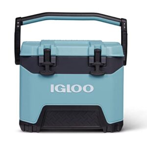 igloo 25 qt celadon bmx cooler