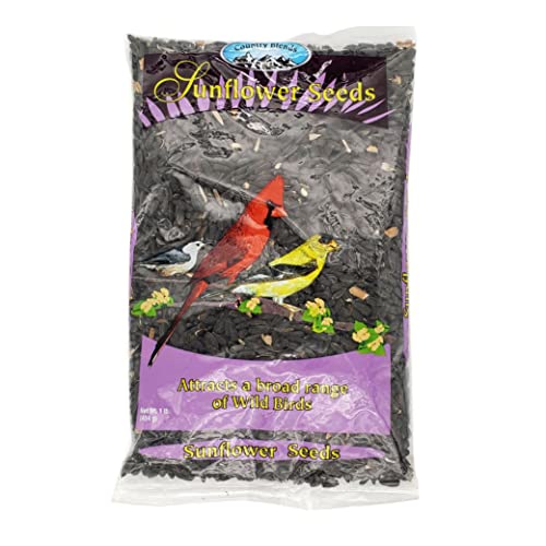 1lb Black Oil Sunflower Seed Wild Bird Feed Food Attract Birds Protein Nutrition, Variable