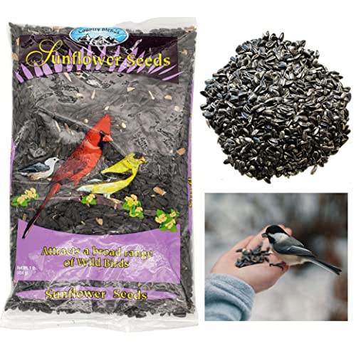 1lb Black Oil Sunflower Seed Wild Bird Feed Food Attract Birds Protein Nutrition, Variable