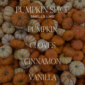 Sweet Water Decor Pumpkin Spice Soy Candle | Pumpkin | Cloves | Buttercream | Cinnamon | Smoke Embers | Vanilla Scented Candle for Home | 11oz White Jar Candle, 50+ Hour Burn Time, Made in the USA