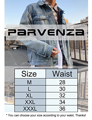 PARVENZA Men's Regular Jeans Classic Denim Pants Straight Trousers (DY18,M)