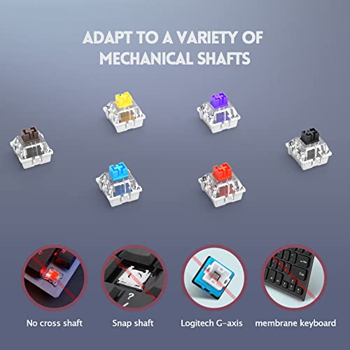 Pudding Keycaps-RisoPhy Double Shot PBT Keycap Set for Mechanical Keyboard,OEM Profile with Keycap Puller,Compatible with 104 Keys Full Size,80%,75%,60% Percent Keyboard-Crystal