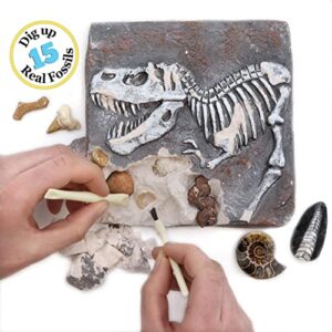 DANCING BEAR Fossil Dig Kit, Excavate 15 Prehistoric Fossils Including Real Dinosaur Bones and Shark Teeth, Paleontology STEM Education for Kids, Fun Science Activity Gift Sets for Girls and Boys