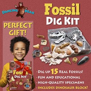 DANCING BEAR Fossil Dig Kit, Excavate 15 Prehistoric Fossils Including Real Dinosaur Bones and Shark Teeth, Paleontology STEM Education for Kids, Fun Science Activity Gift Sets for Girls and Boys