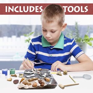 DANCING BEAR Fossil Dig Kit, Excavate 15 Prehistoric Fossils Including Real Dinosaur Bones and Shark Teeth, Paleontology STEM Education for Kids, Fun Science Activity Gift Sets for Girls and Boys