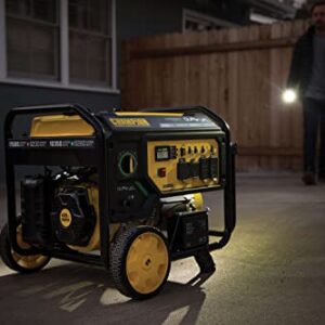 Champion Power Equipment 201194 11,500/9,200-Watt Dual Fuel Portable Generator, Electric Start