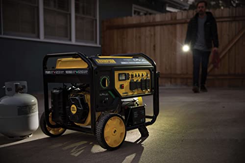 Champion Power Equipment 201194 11,500/9,200-Watt Dual Fuel Portable Generator, Electric Start