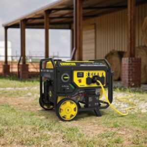 Champion Power Equipment 201194 11,500/9,200-Watt Dual Fuel Portable Generator, Electric Start