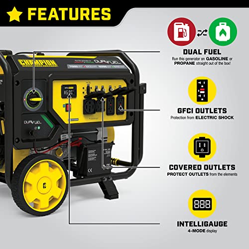 Champion Power Equipment 201194 11,500/9,200-Watt Dual Fuel Portable Generator, Electric Start