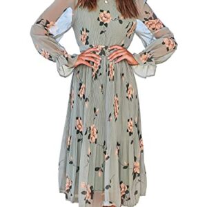 ANRABESS Women's Ruffle Midi Dress Floral Print Round Neck Long Sleeve Smocked Chiffon Dress A-Ling Swing Pleated Casual Dress 676luochenghua-S