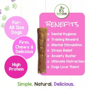 Nature Gnaws Beef Jerky Stuffed Rolls for Dogs - Single Ingredient Beef Gullet Chew Treats - Simple Natural Delicious Dog Chews - Training Reward - 5 Inch - 6 Count