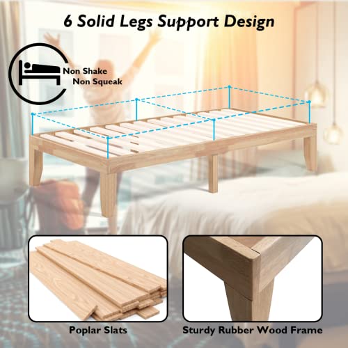 KOMFOTT 14 Inches Wood Platform Bed Frame Twin Size, Solid Wood Mattress Foundation with Rubber Wood Frame, Strong Poplar Wood Slat Support, No Box Spring Needed, Bed Frame (Natural)