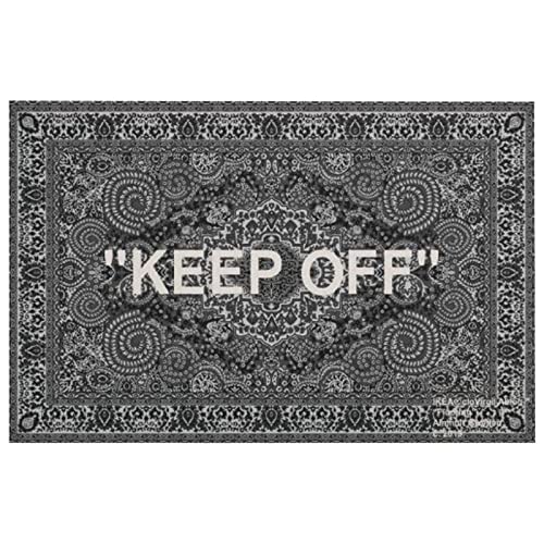 YIKUDU Keep Off Large Rugs Floor Mat Modern Carpet for Home Decoration Area Rug,Cozy Art Decoration Polyester Carpet 36 x 24 inch