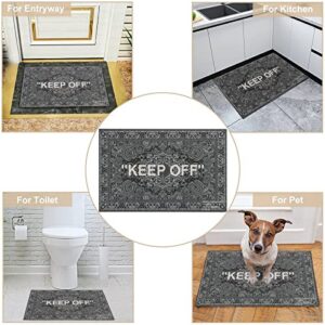 YIKUDU Keep Off Large Rugs Floor Mat Modern Carpet for Home Decoration Area Rug,Cozy Art Decoration Polyester Carpet 36 x 24 inch