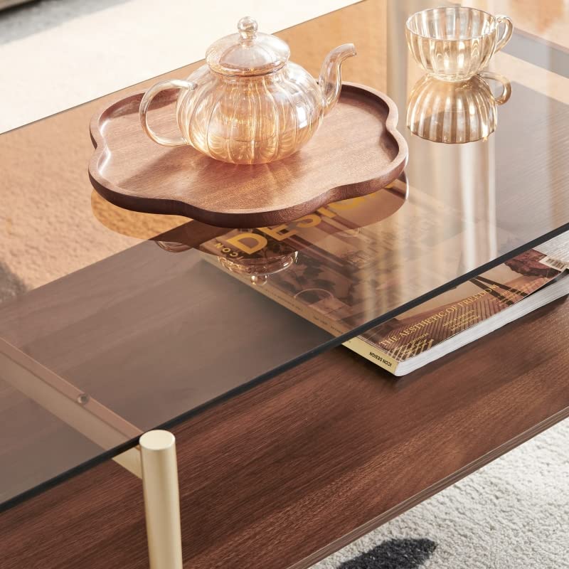 AGV LIGHTING 202206 Tadio Glass Coffee Table, Double Layer Coffee Table for Living Space, Gold Finish Frmae, Coffee Brown Glass Top & Walnut Brown Wood Top