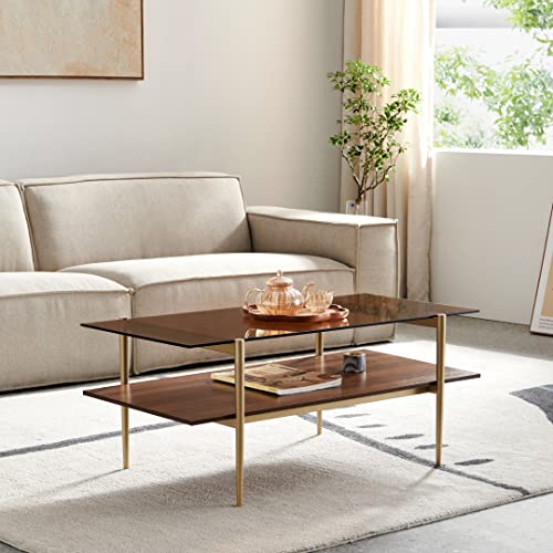 AGV LIGHTING 202206 Tadio Glass Coffee Table, Double Layer Coffee Table for Living Space, Gold Finish Frmae, Coffee Brown Glass Top & Walnut Brown Wood Top