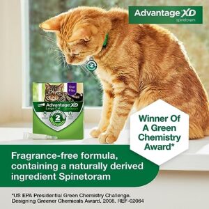 Advantage XD Large Cat Flea Prevention & Treatment For Cats over 9lbs. | 1-Topical Dose, 2-Months of Protection Per Dose