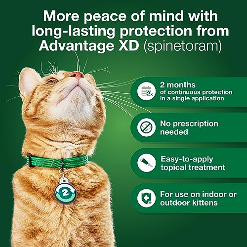 Advantage XD Large Cat Flea Prevention & Treatment For Cats over 9lbs. | 1-Topical Dose, 2-Months of Protection Per Dose