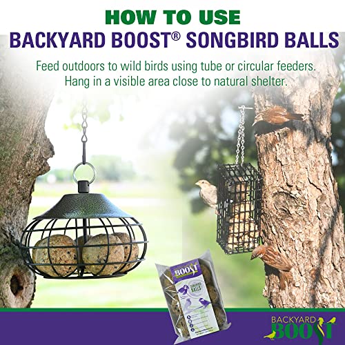 Backyard Boost Songbird Balls - Bird Food for Outside Wild Birds - 1.3.Pounds (Pack of 6)