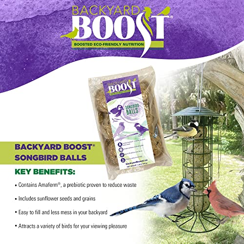 Backyard Boost Songbird Balls - Bird Food for Outside Wild Birds - 1.3.Pounds (Pack of 6)