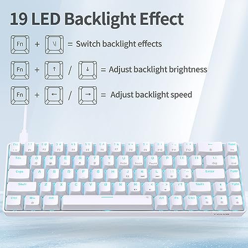 TMKB 60 Percent Gaming Keyboard LED Backlit Ultra-Compact 68 Keys Mechanical Keyboard with Separate Arrow/Control Keys, T68SE, Red Switch