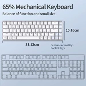 TMKB 60 Percent Gaming Keyboard LED Backlit Ultra-Compact 68 Keys Mechanical Keyboard with Separate Arrow/Control Keys, T68SE, Red Switch